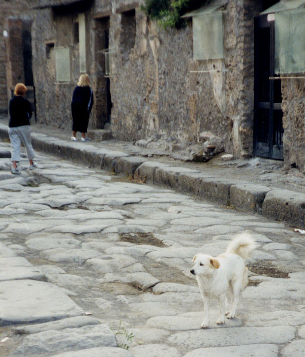 Henry Throop's Photos